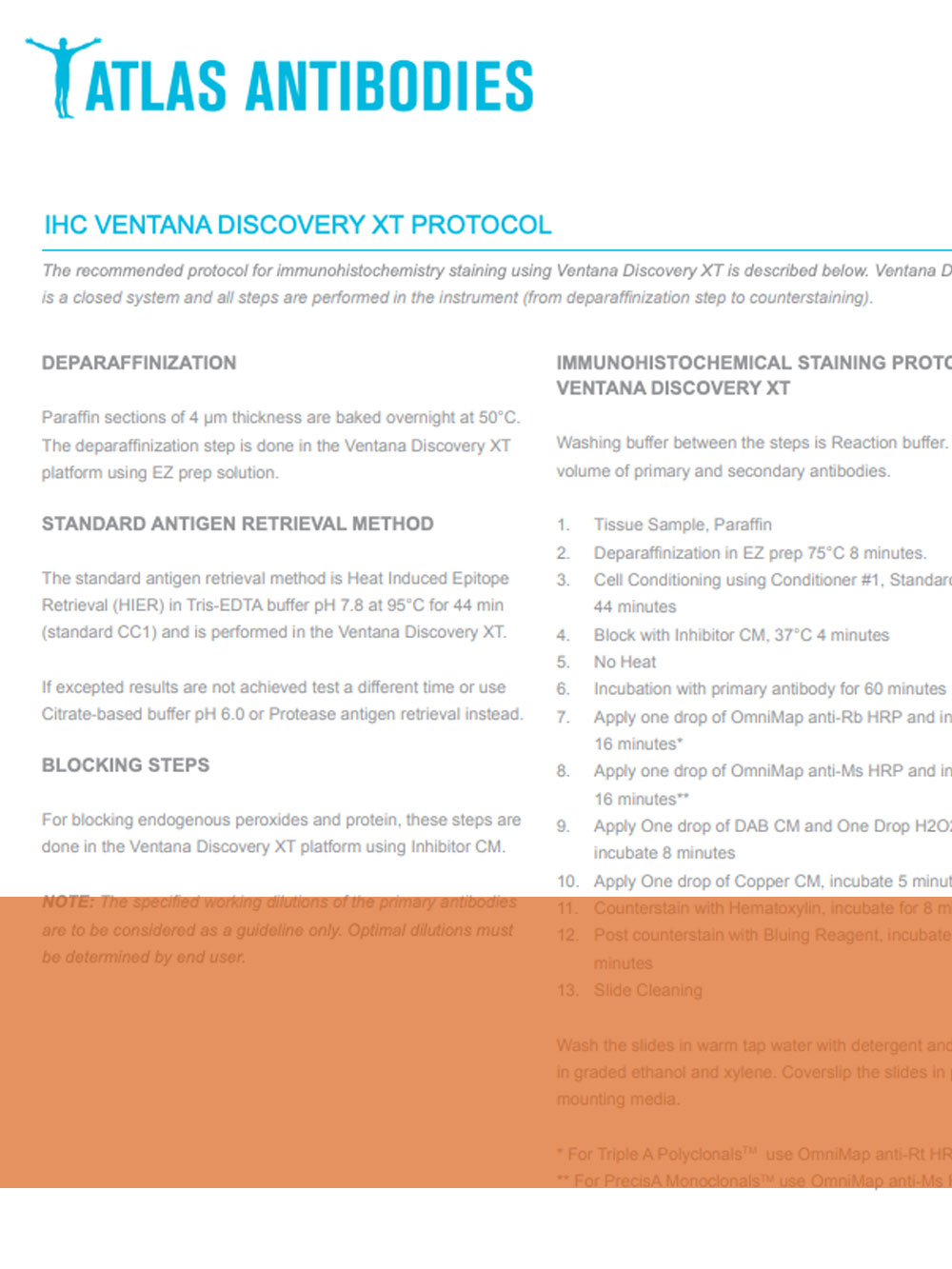 IHC Protocol - Ventana Discovery XT Atlas Antibodies
