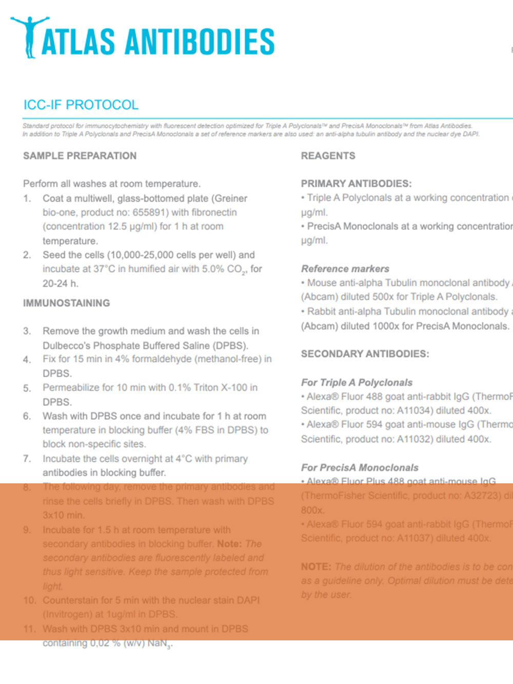 ICC-IF Standard Protocol Atlas Antibodies