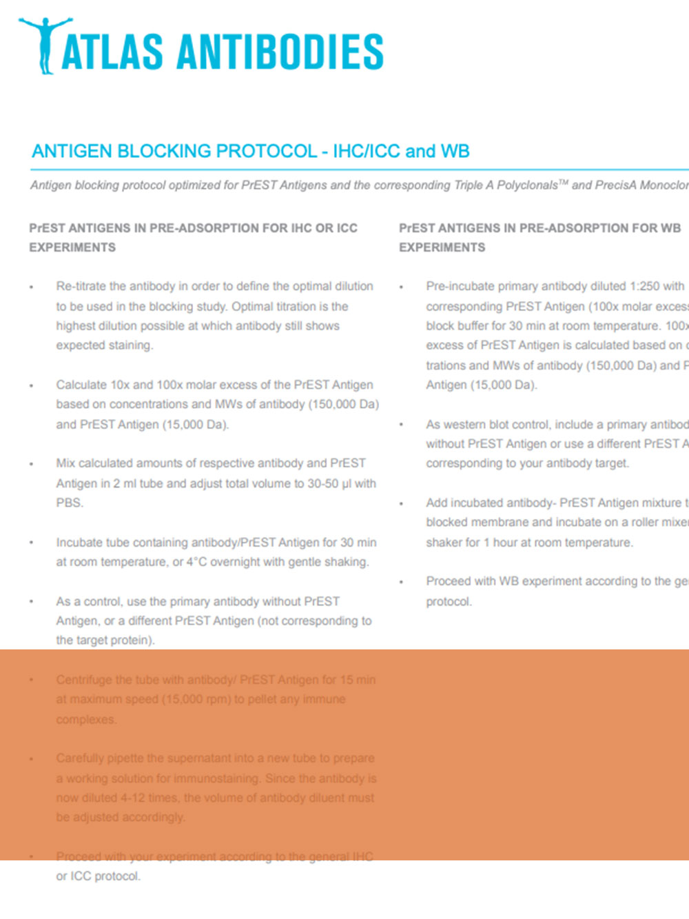 Antigen Blocking Protocol for IHC/ICC and WB Atlas Antibodies