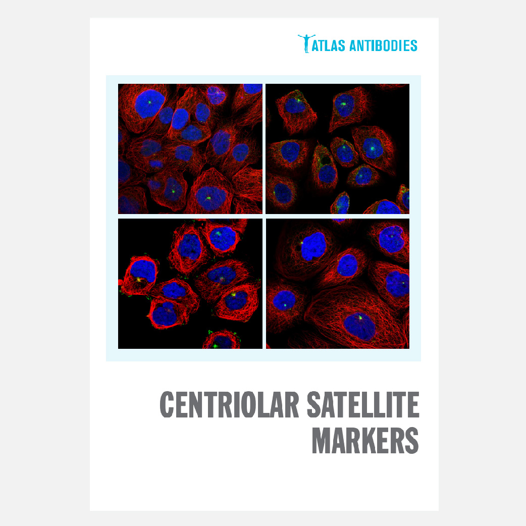Centriolar Satellite Markers