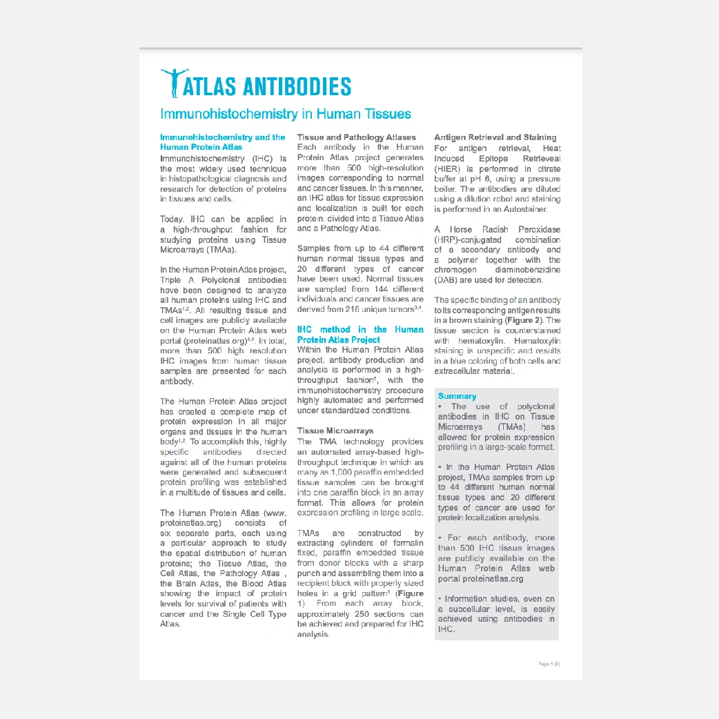 Immunohistochemistry in Human Tissues