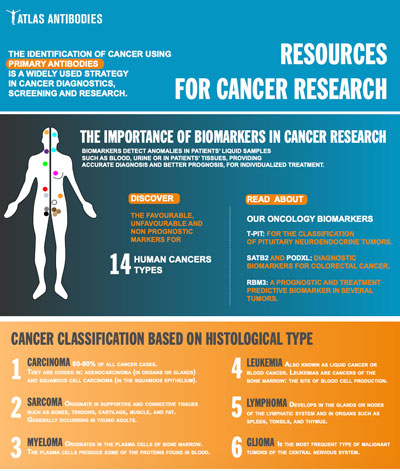 Infographic: Resources for Cancer Research