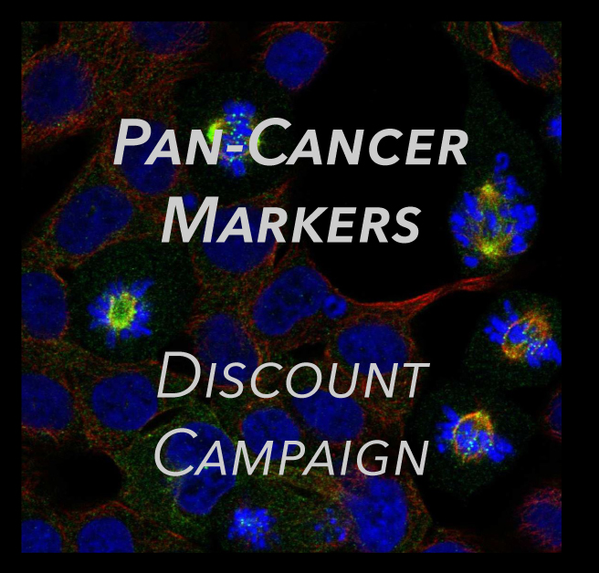 Pan-Cancer Markers for Proteomic Phenotyping