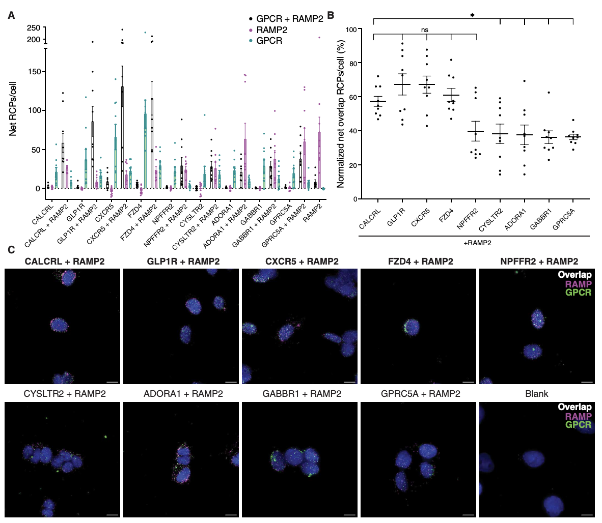 Mapping GPCR-RAMP complexes with MolBoolean