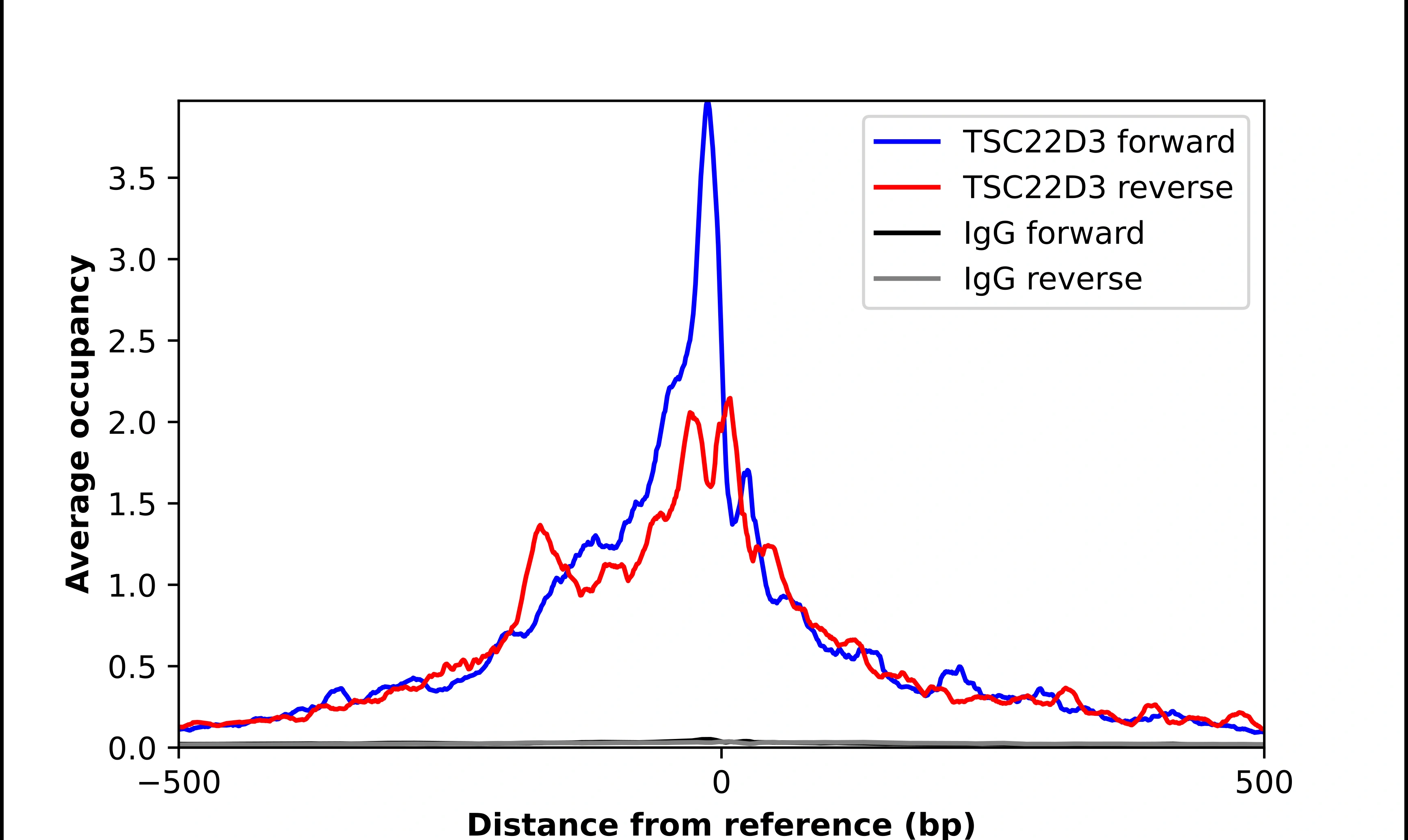 Anti-TSC22D3 Human Protein Atlas Antibody
