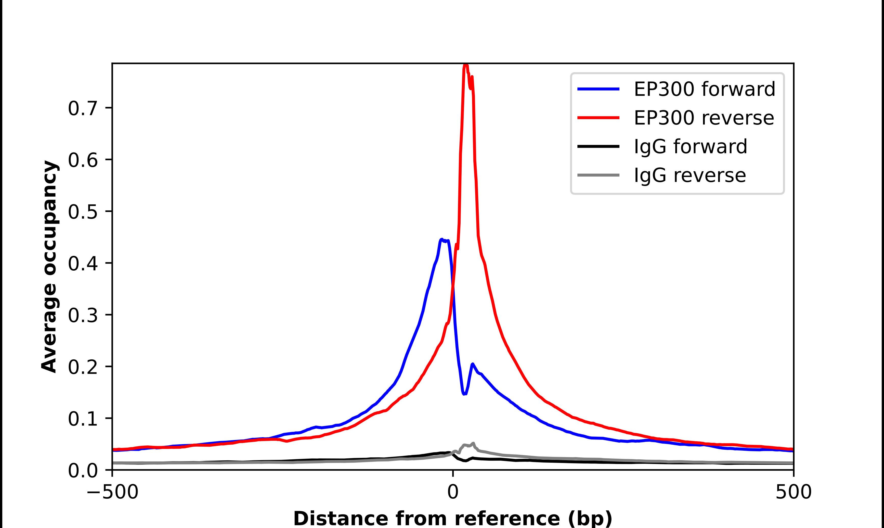 Rabbit Polyclonal Anti-EP300 Antibody - Buy for research - Highly ...