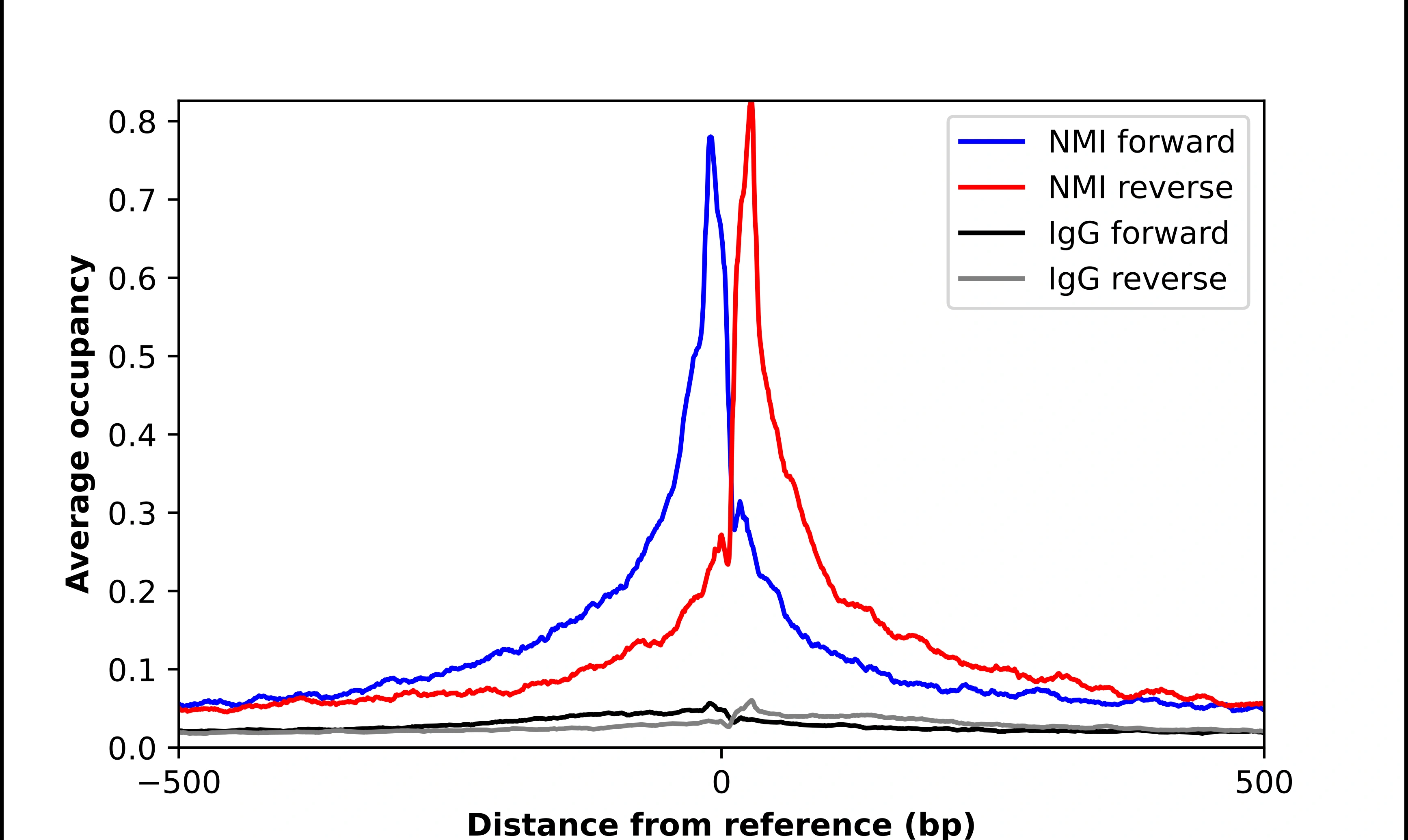 Anti-NMI Human Protein Atlas Antibody