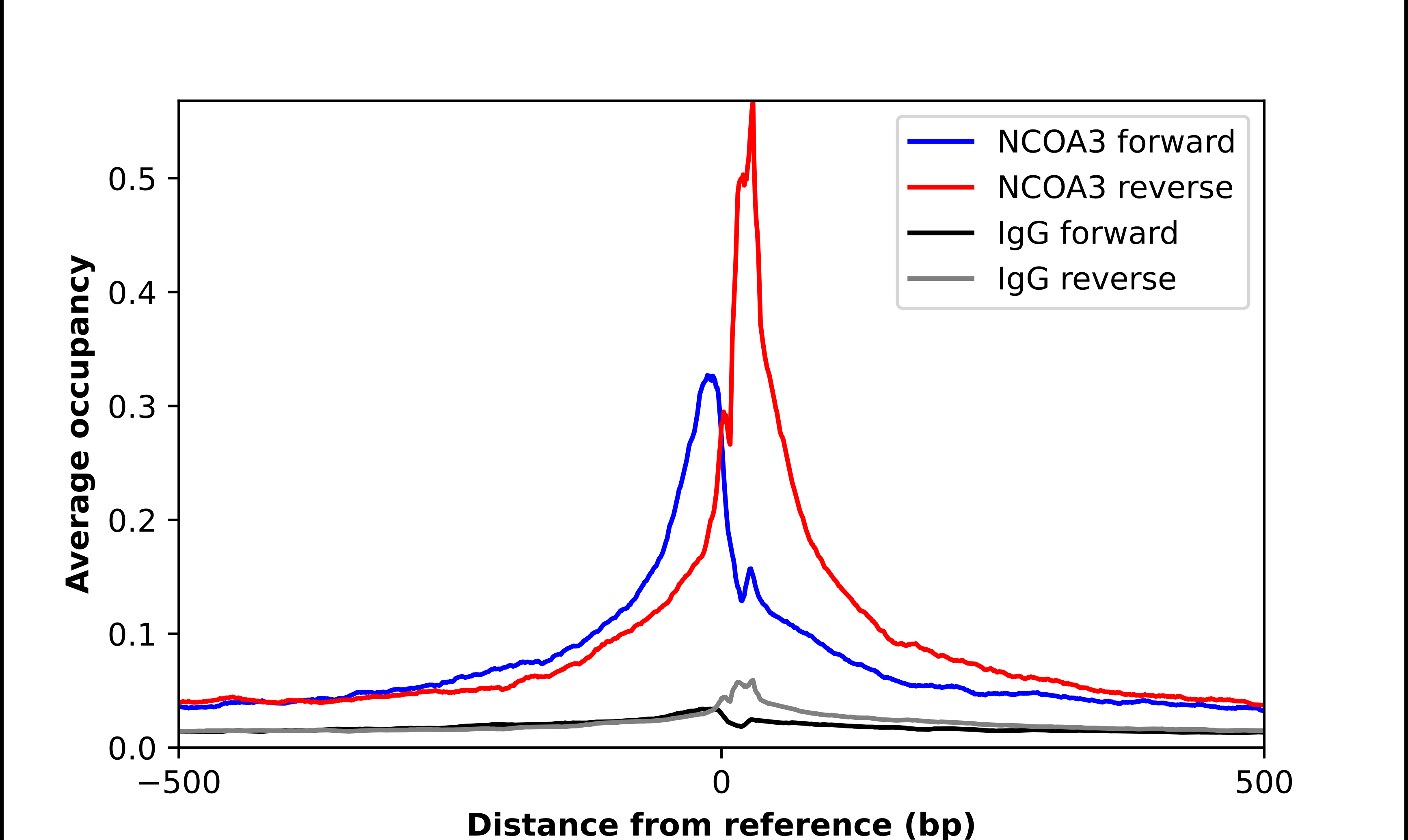 Rabbit Polyclonal Anti-NCOA3 Antibody - Buy for research - Highly ...