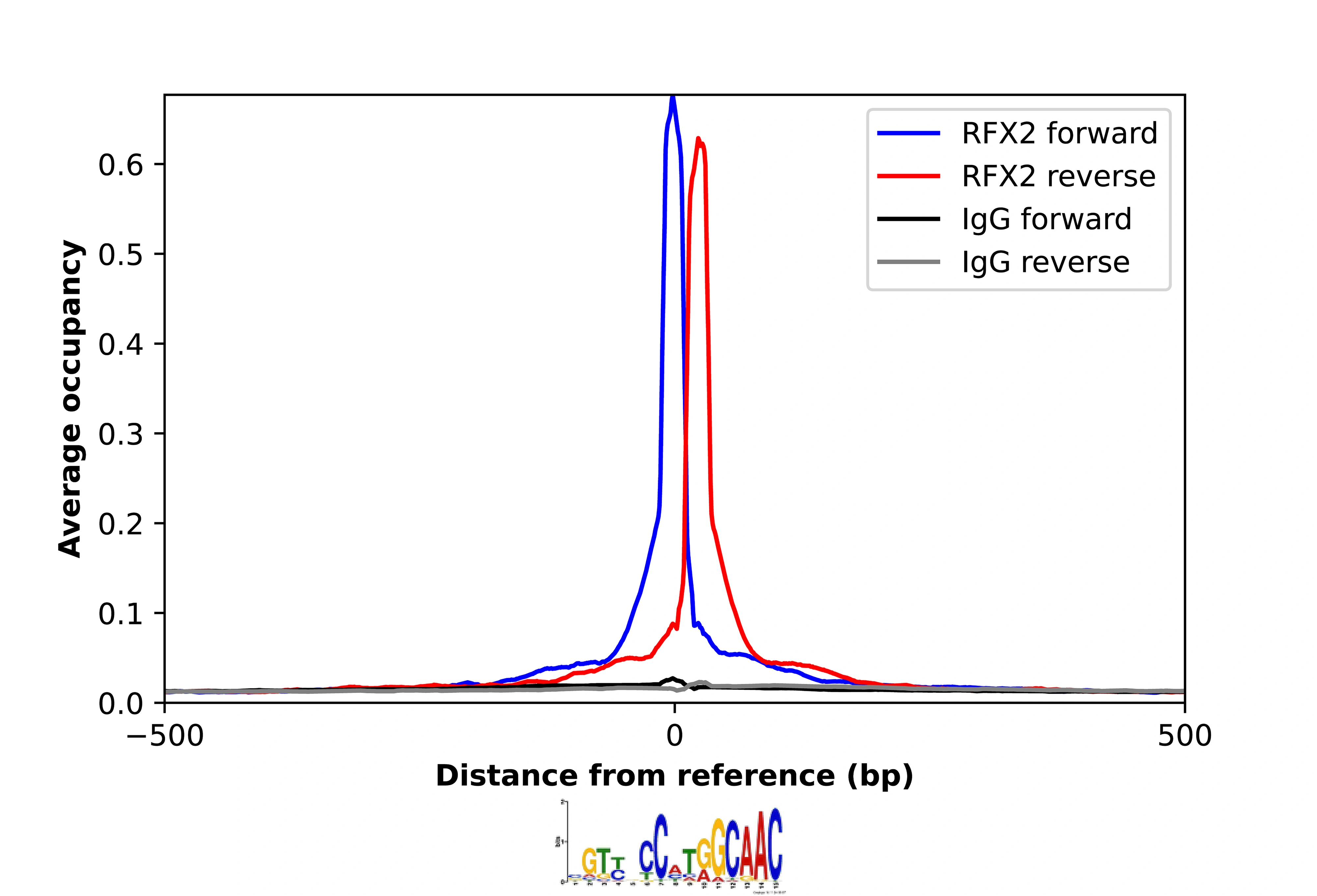 Anti-RFX2 Human Protein Atlas Antibody