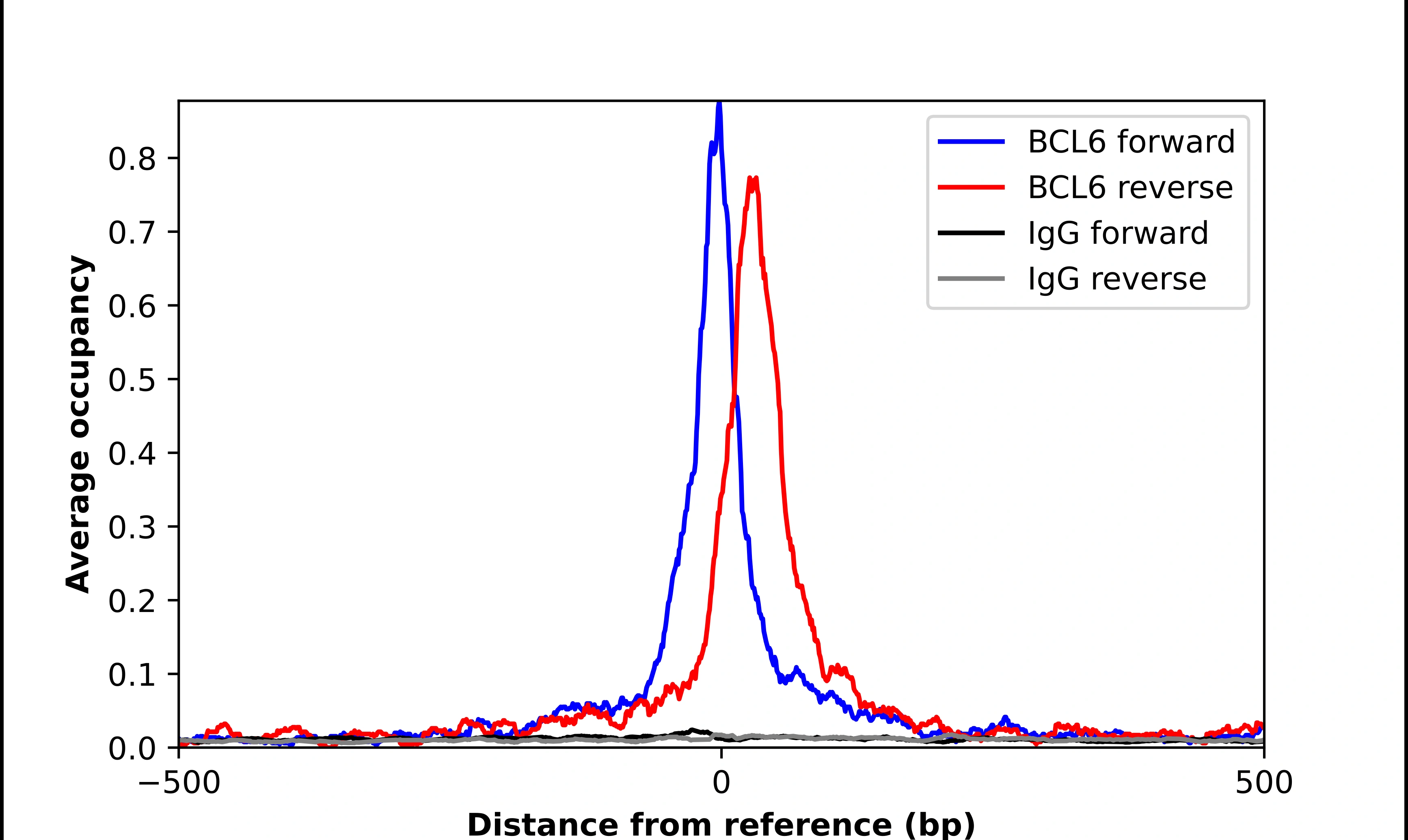 Anti-BCL6 Human Protein Atlas Antibody