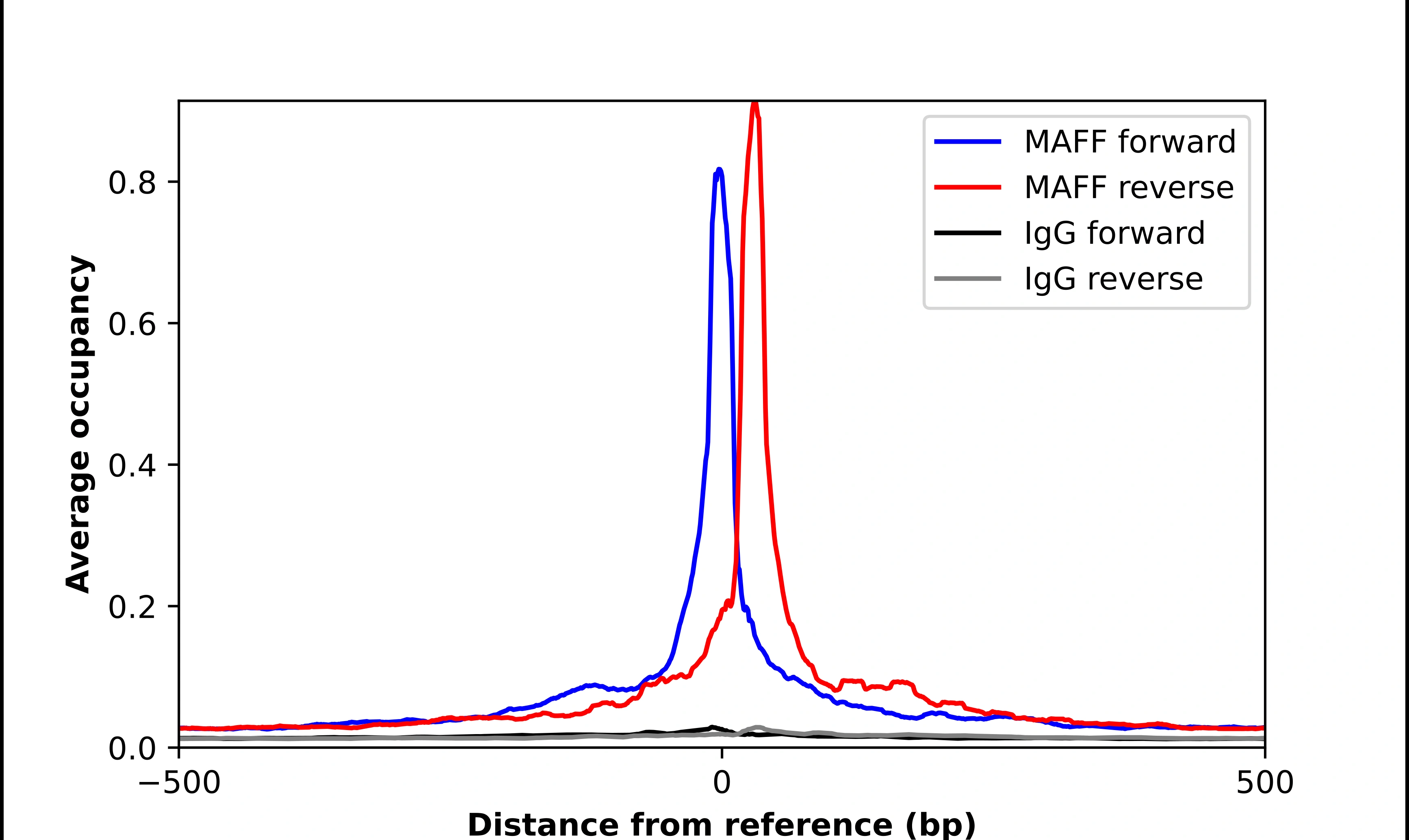 Anti-MAFF Human Protein Atlas Antibody