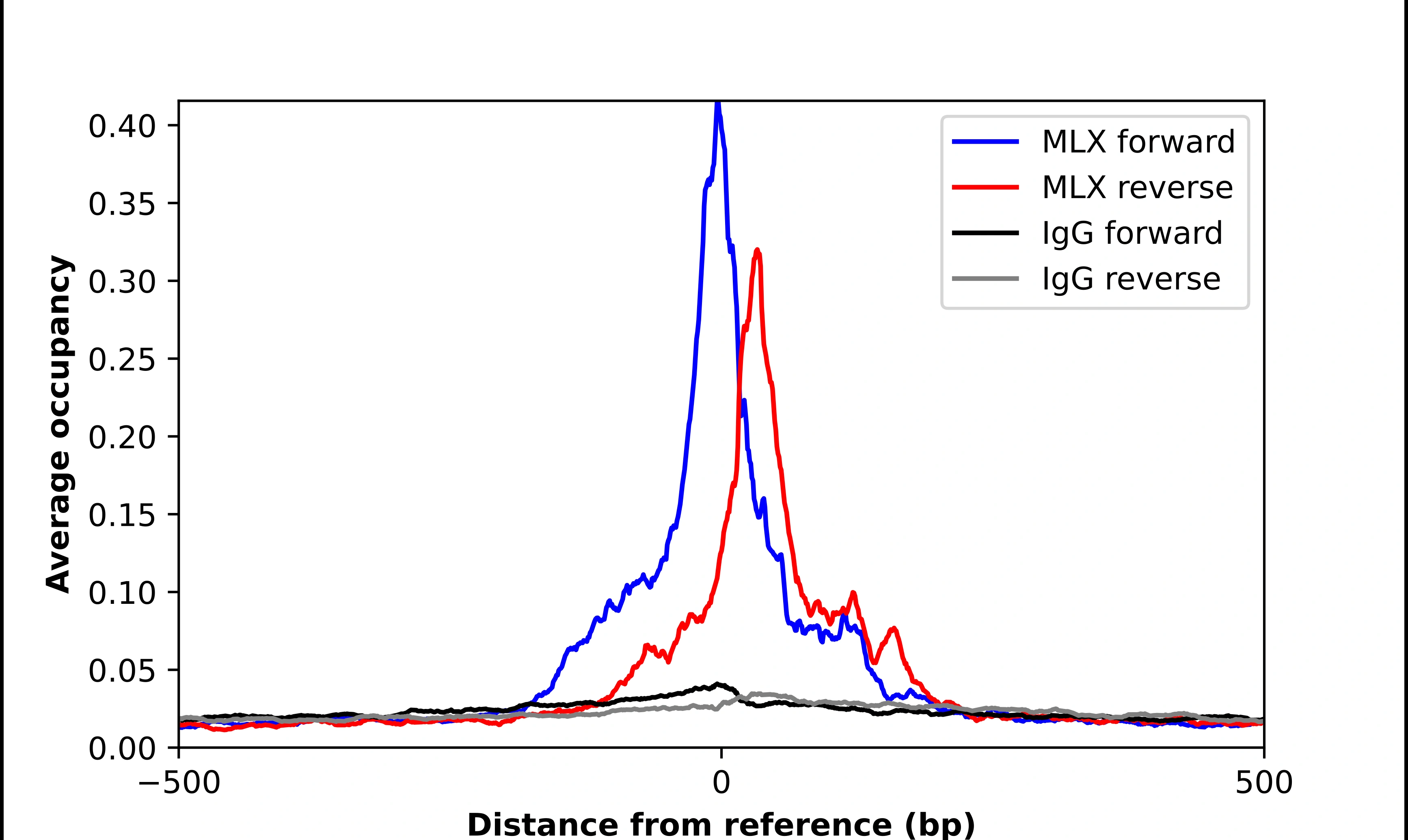 Anti-MLX Human Protein Atlas Antibody