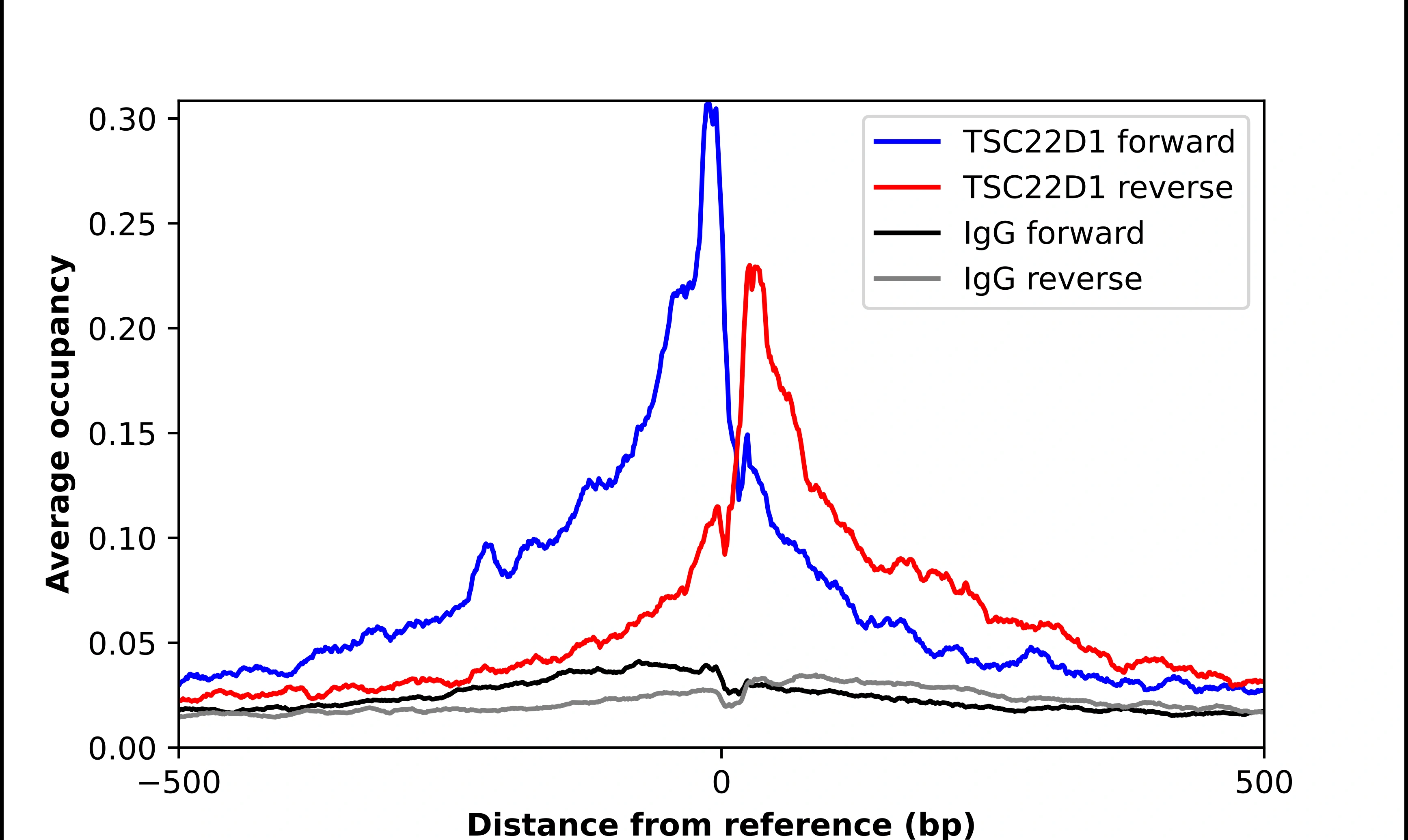 Anti-TSC22D1 Human Protein Atlas Antibody