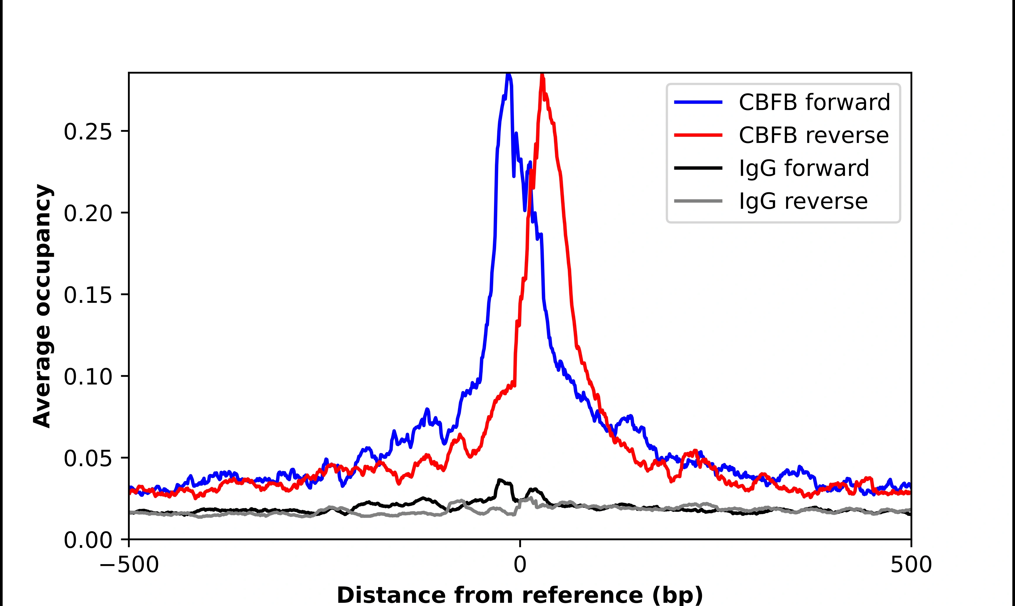 Anti-CBFB Human Protein Atlas Antibody