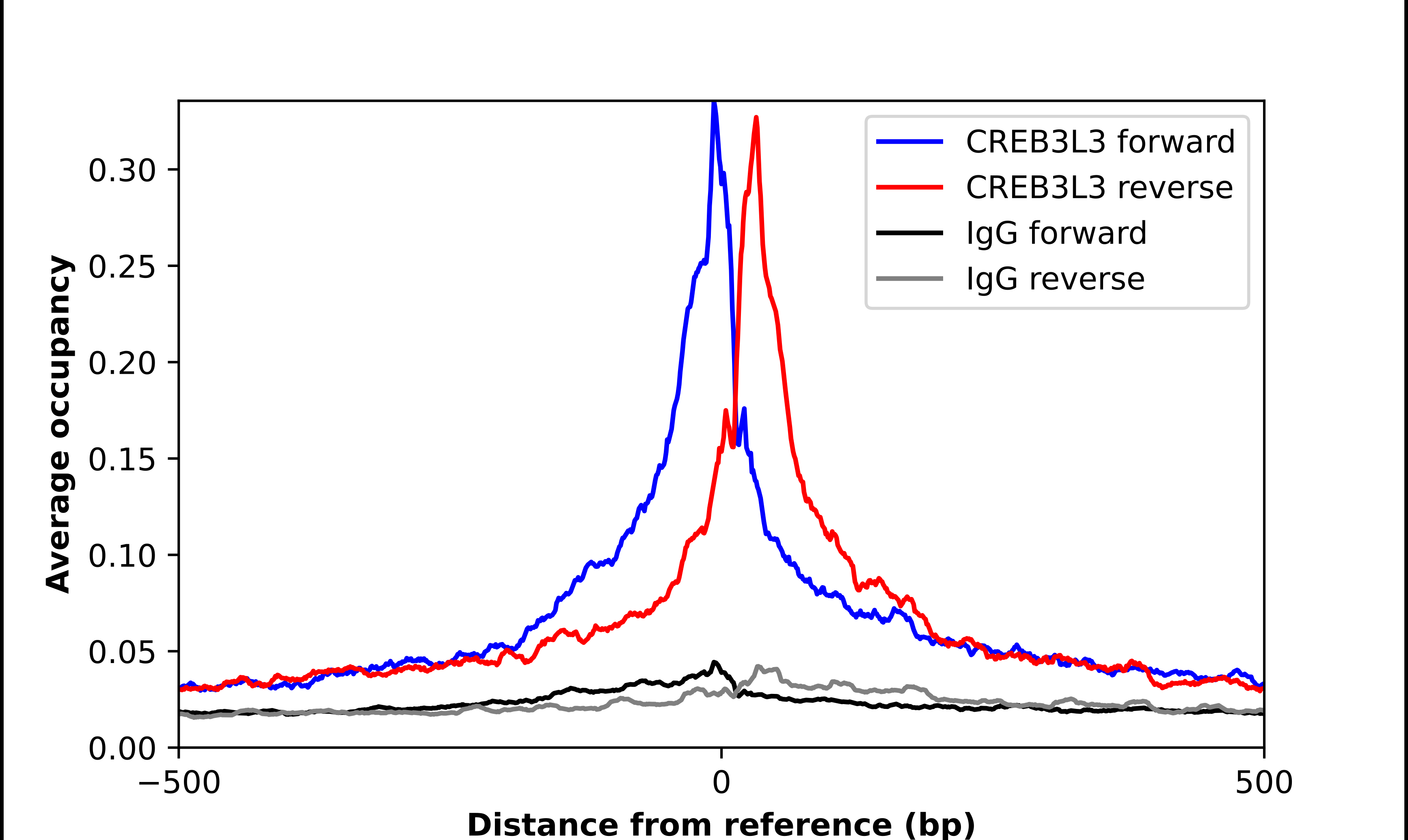 Anti-CREB3L3 Human Protein Atlas Antibody