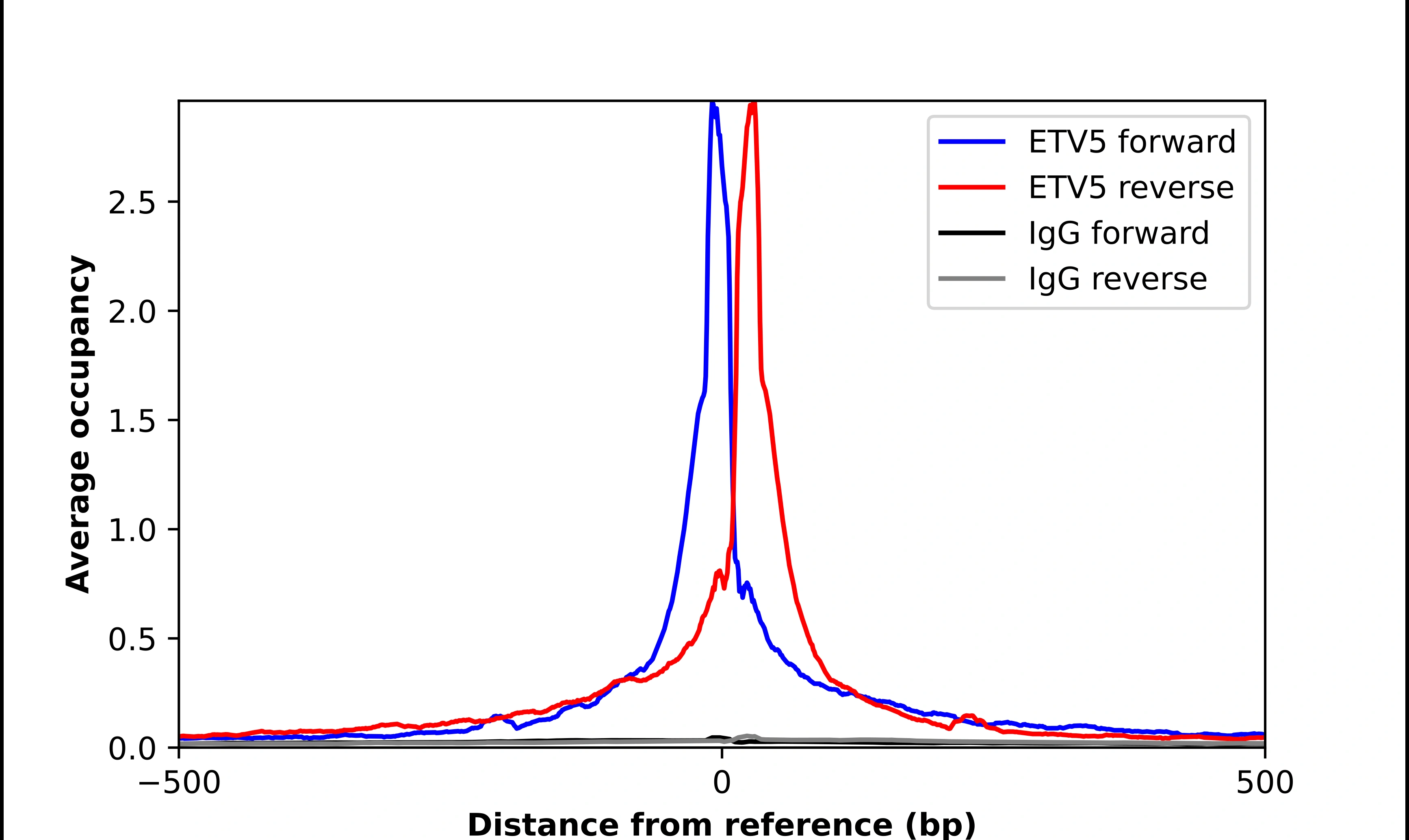 Anti-ETV5 Human Protein Atlas Antibody