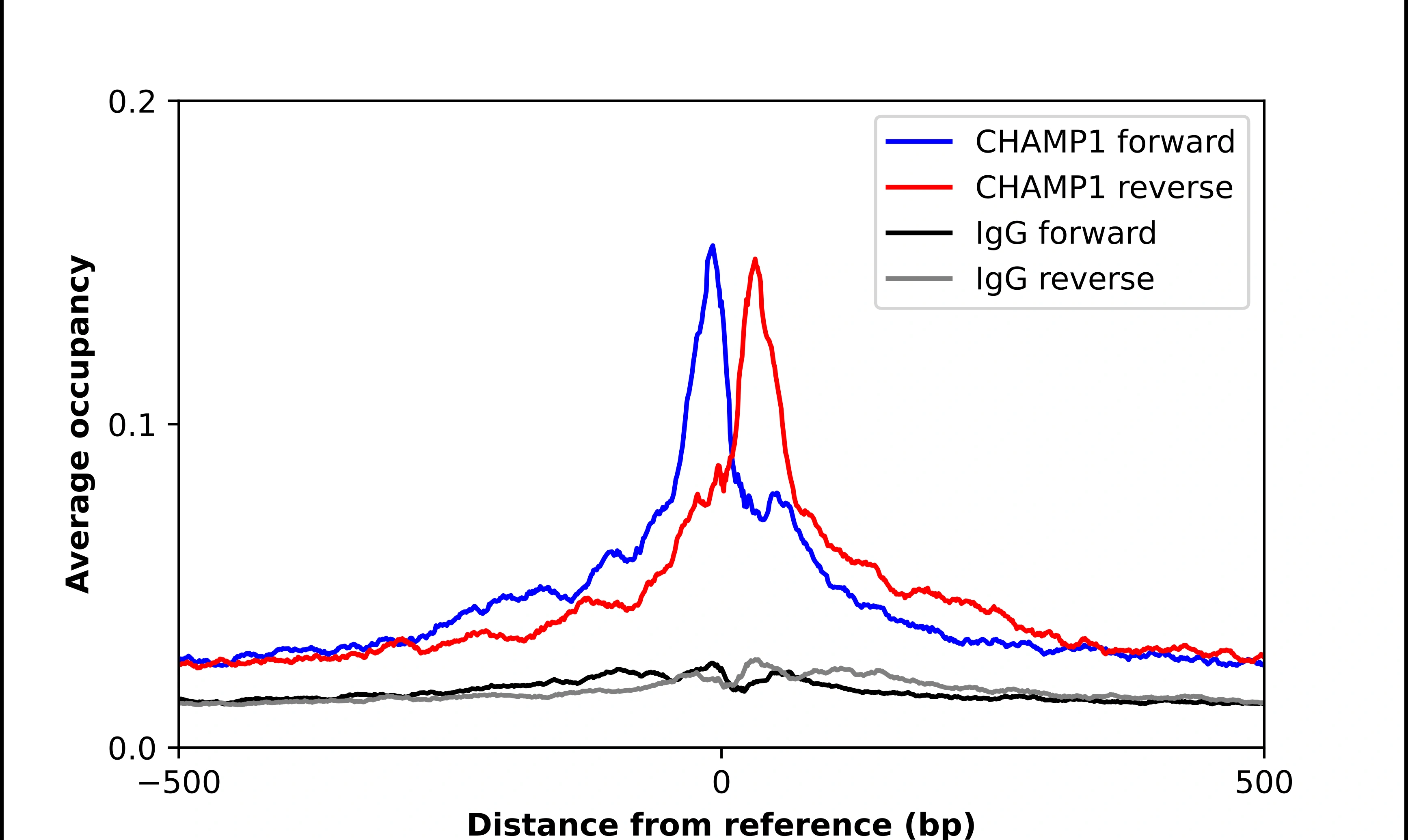Anti-CHAMP1 Human Protein Atlas Antibody