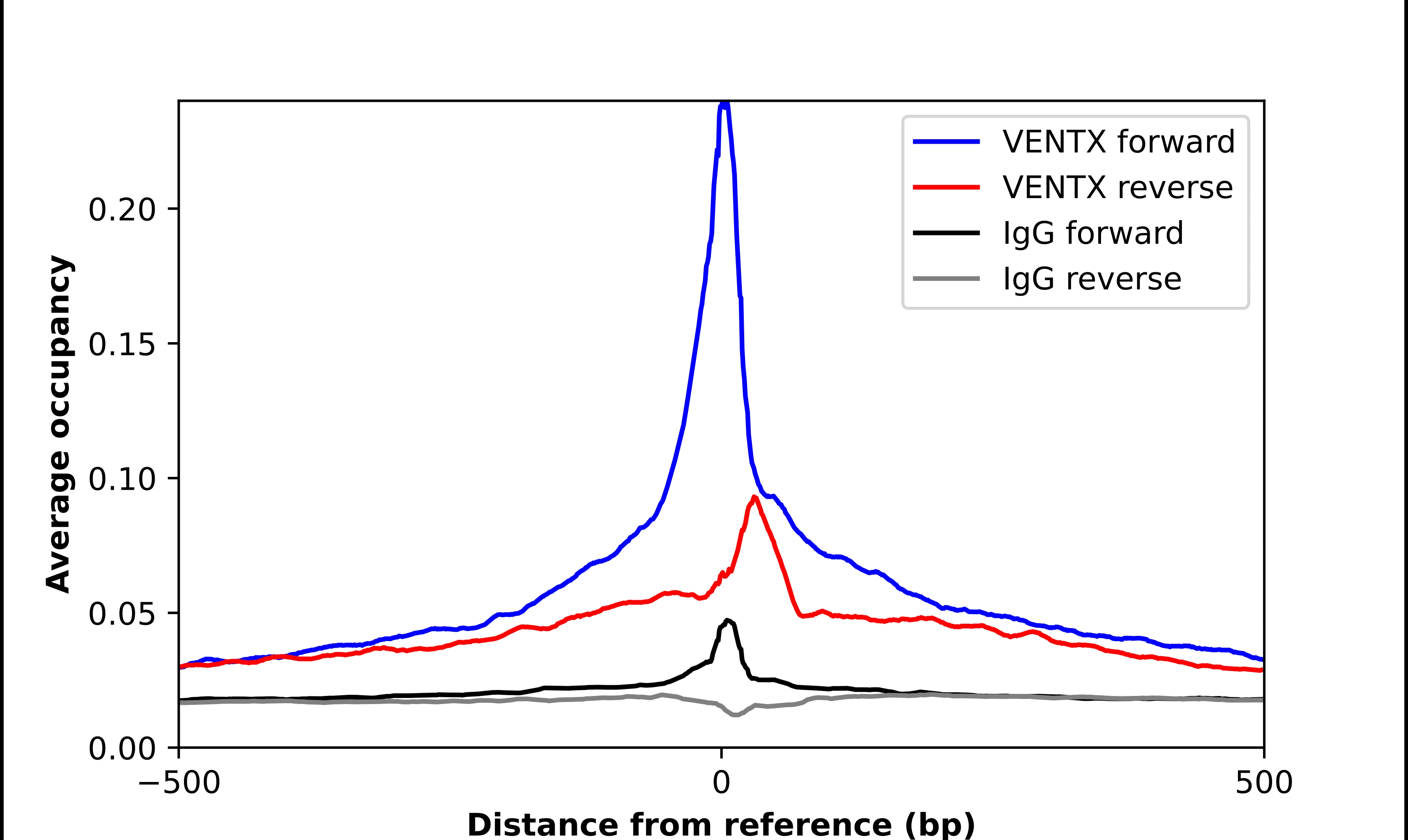 Anti-VENTX Human Protein Atlas Antibody