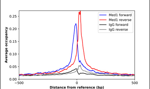 Anti-MED1 Human Protein Atlas Antibody